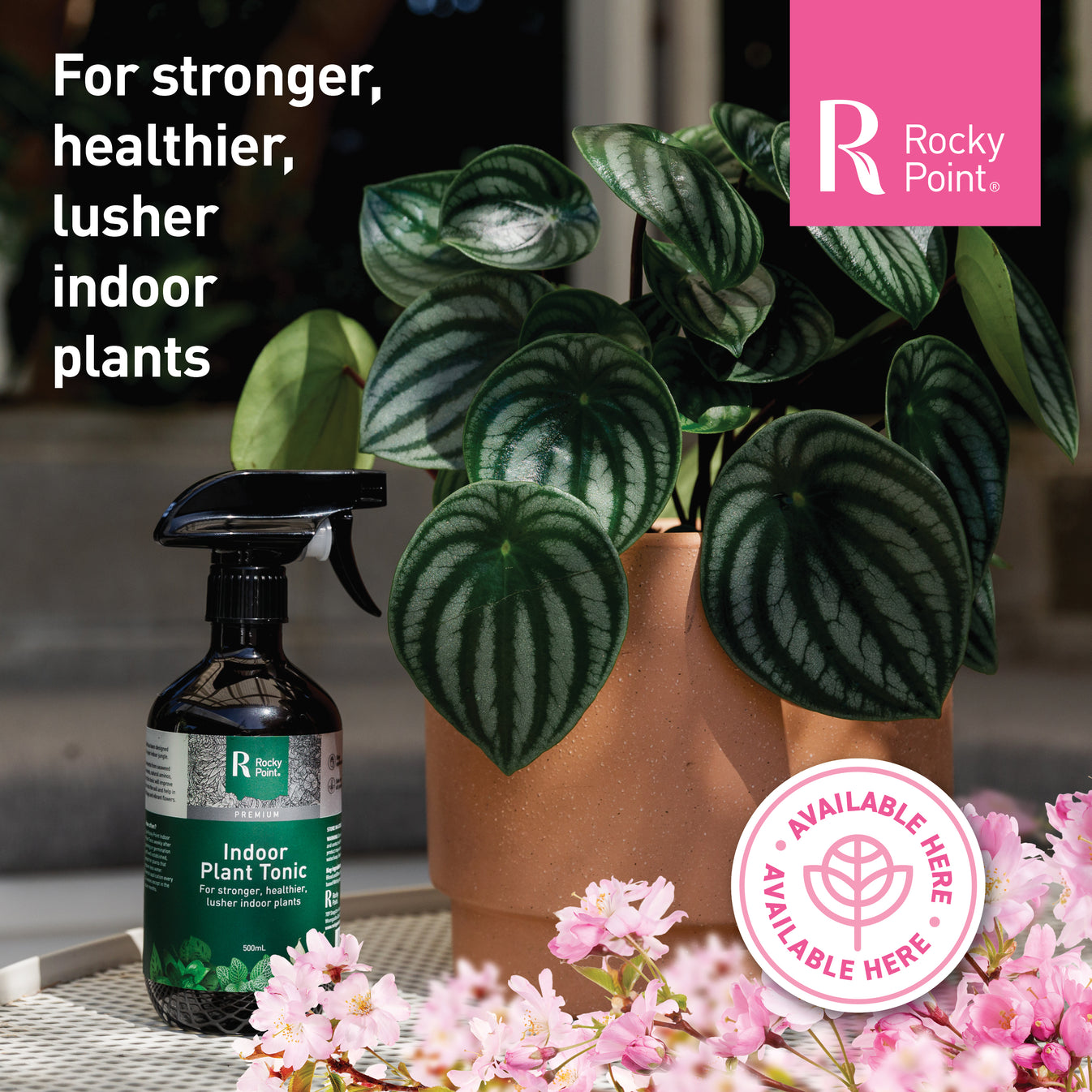 Indoor Plant Tonic 500ml | Burrum Landscape Supplies Howa...